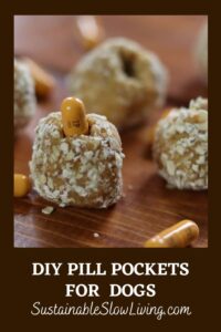 DIY Pill Pockets For Dogs || Make Giving Your Dog Pills Easy ...