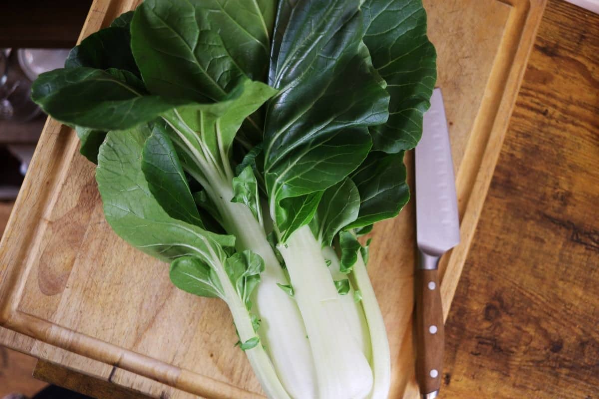 How To Freeze Bok Choy || Preserve Fresh Vegetables - Sustainable Slow ...