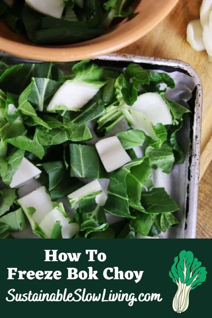 How To Freeze Bok Choy