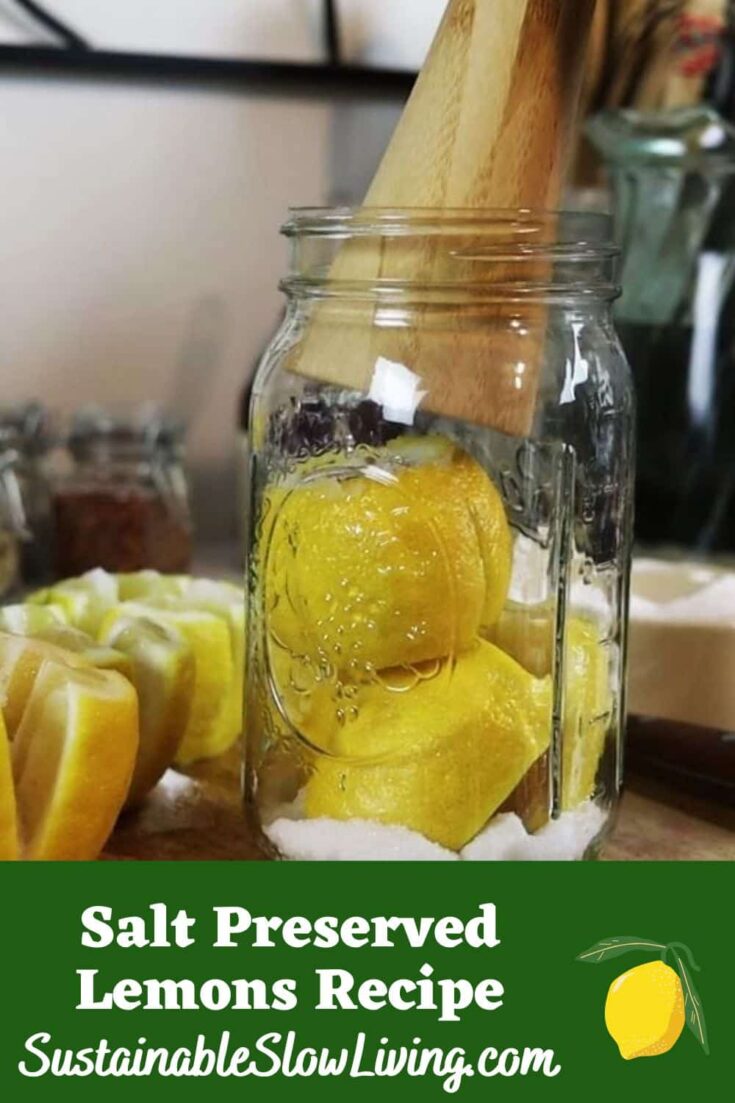 Salt Preserved Lemons Recipe || Make Moroccan Lemons - Sustainable Slow ...