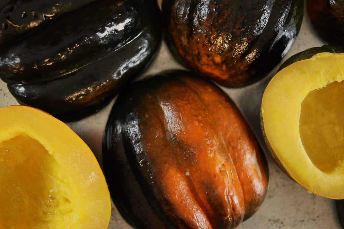 How To Freeze Acorn Squash || Store Winter Squash - Sustainable Slow Living