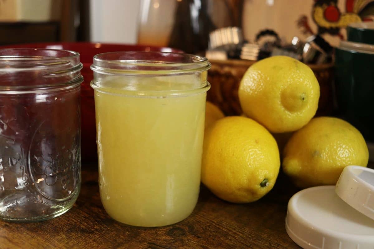 How To Freeze Fresh Lemon Juice || Store Fruit Juice - Sustainable Slow ...