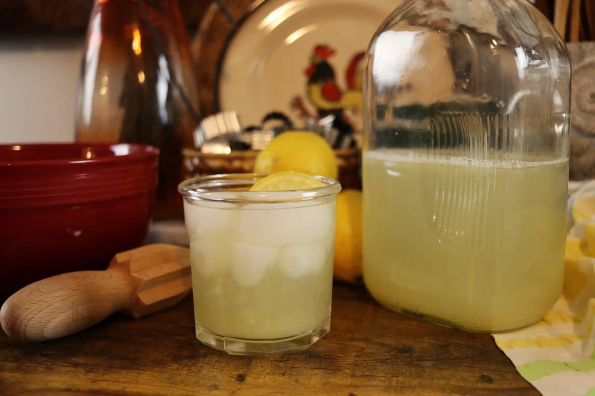 How To Freeze Fresh Lemon Juice || Store Fruit Juice - Sustainable Slow ...