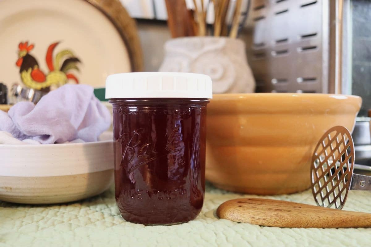 The Best Grape Syrup Recipe || Easy Simple Syrup - Sustainable Slow Living