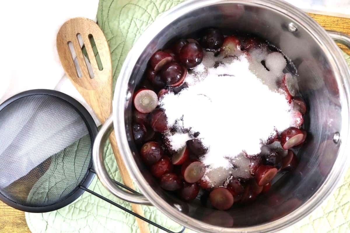The Best Grape Syrup Recipe || Easy Simple Syrup - Sustainable Slow Living