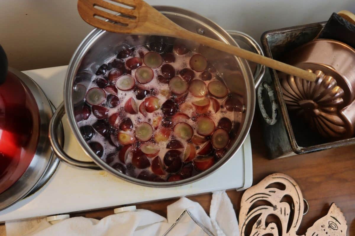 The Best Grape Syrup Recipe || Easy Simple Syrup - Sustainable Slow Living