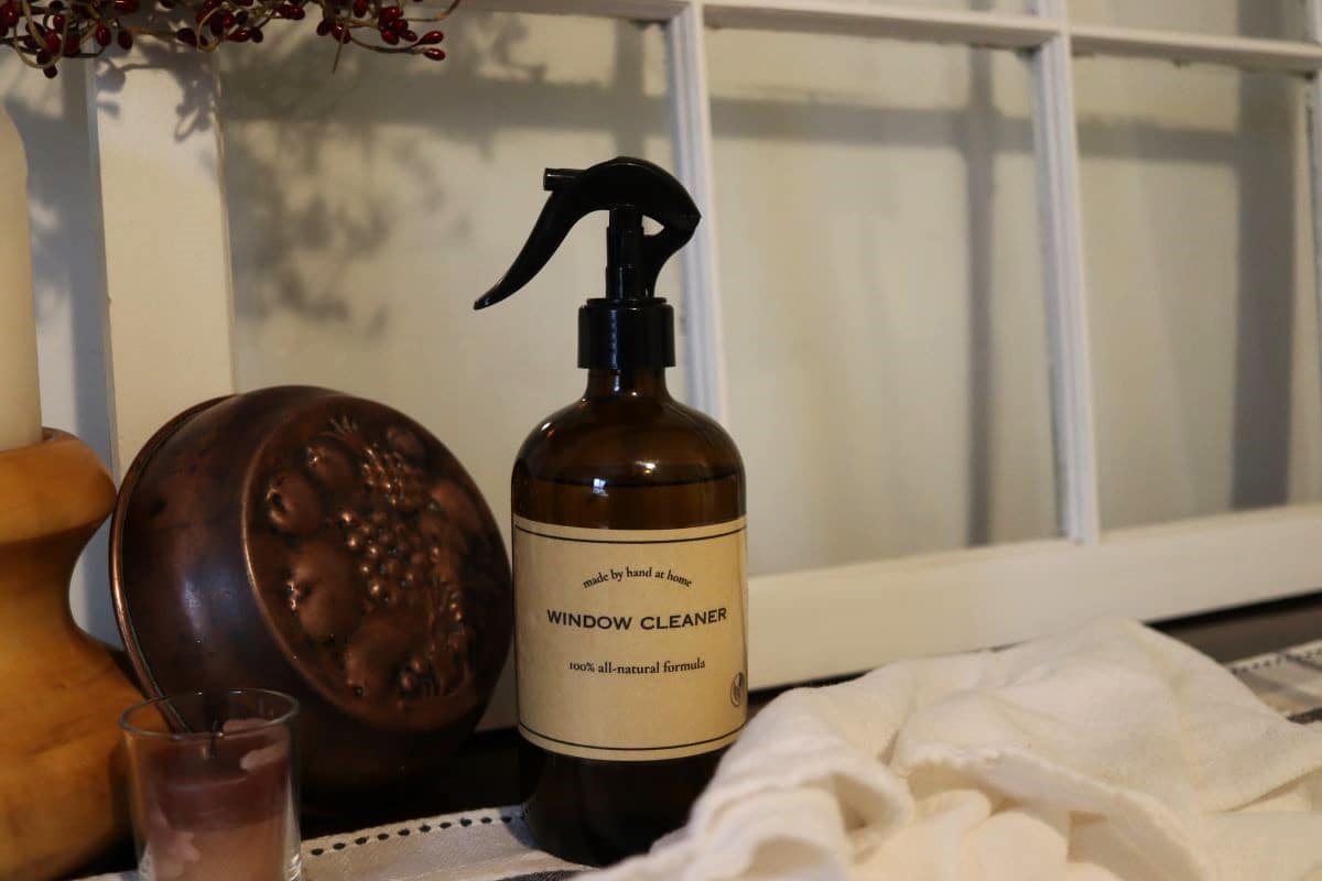 Non-Toxic Window Cleaner || Natural Homemade Cleaners - Sustainable ...