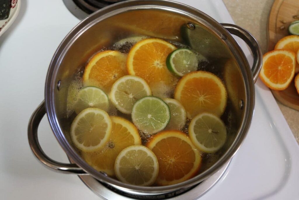 Candied Citrus Slices Recipe | Sustainable Slow Living